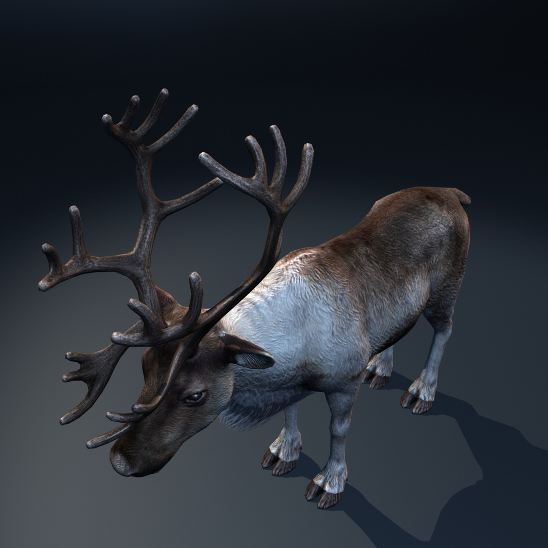 max reindeer animation christmas