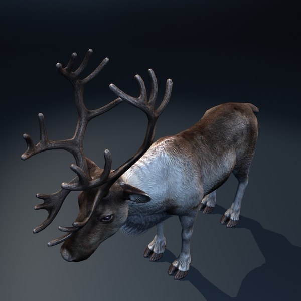 max reindeer animation christmas