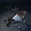 Max Reindeer Animation Christmas
