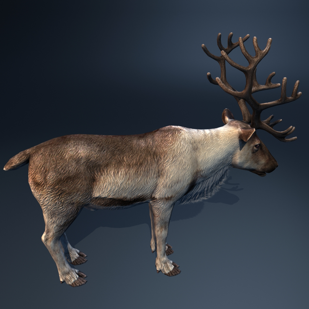 max reindeer animation christmas