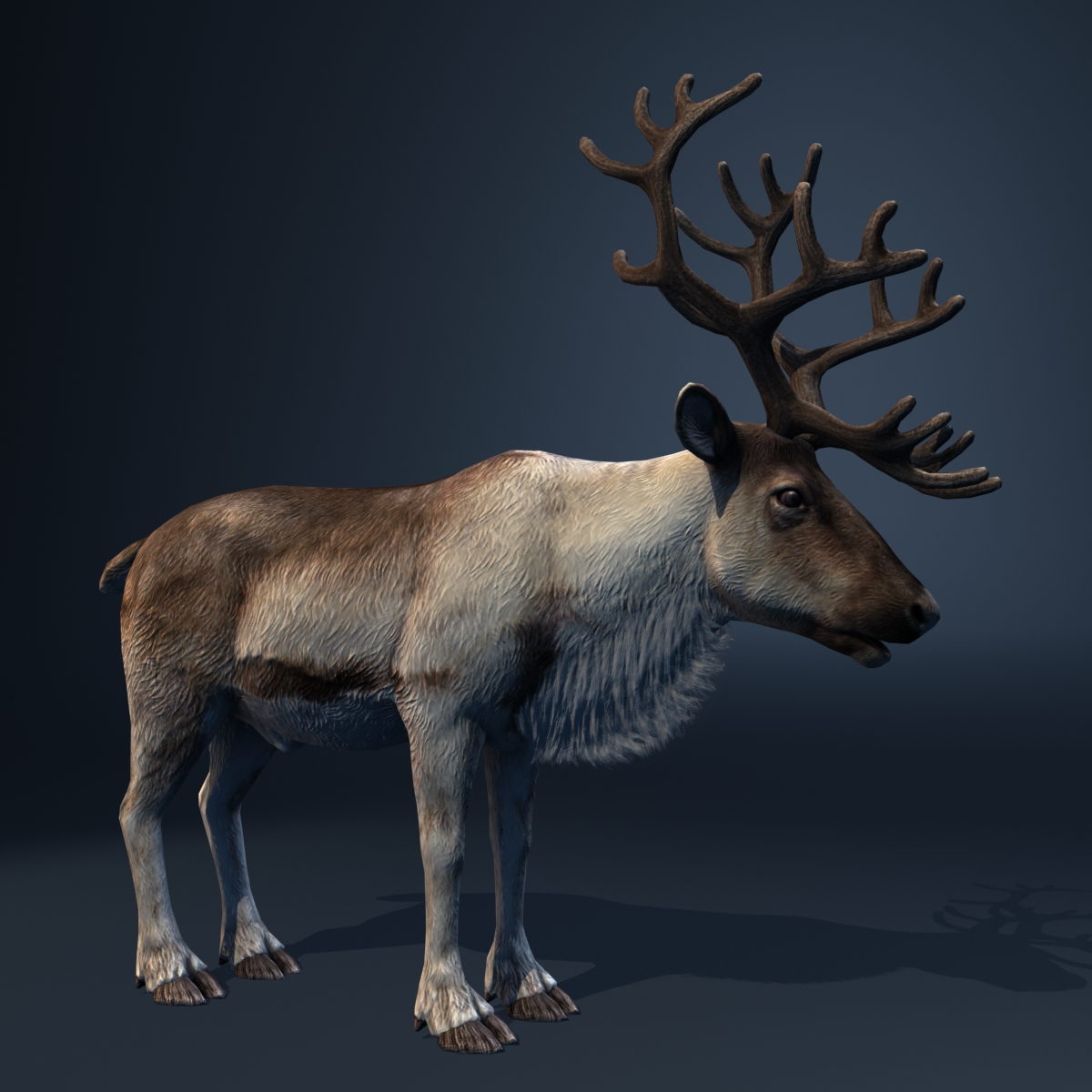 max reindeer animation christmas