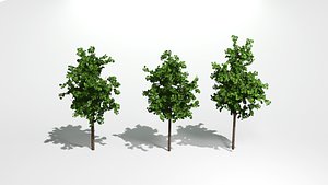 maya simple tree