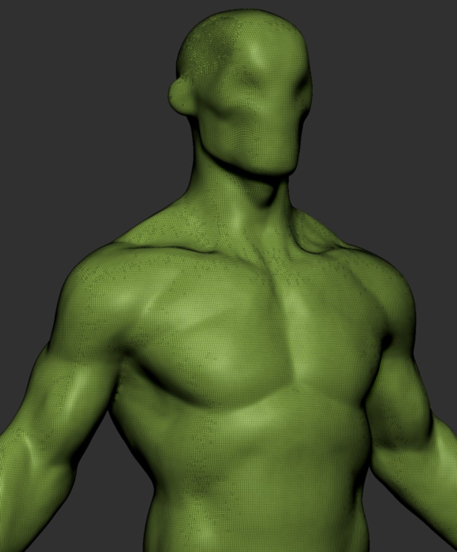 Stylized Body 3D Model - TurboSquid 1314526