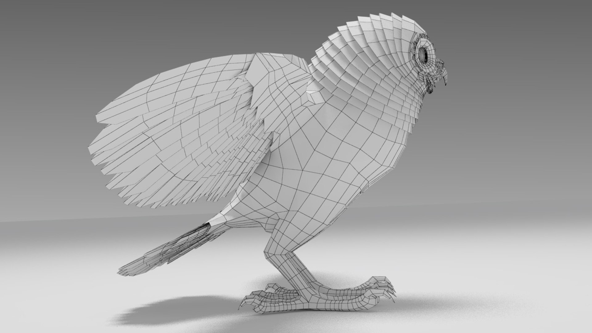 3d Model Of Owl Beak Feather