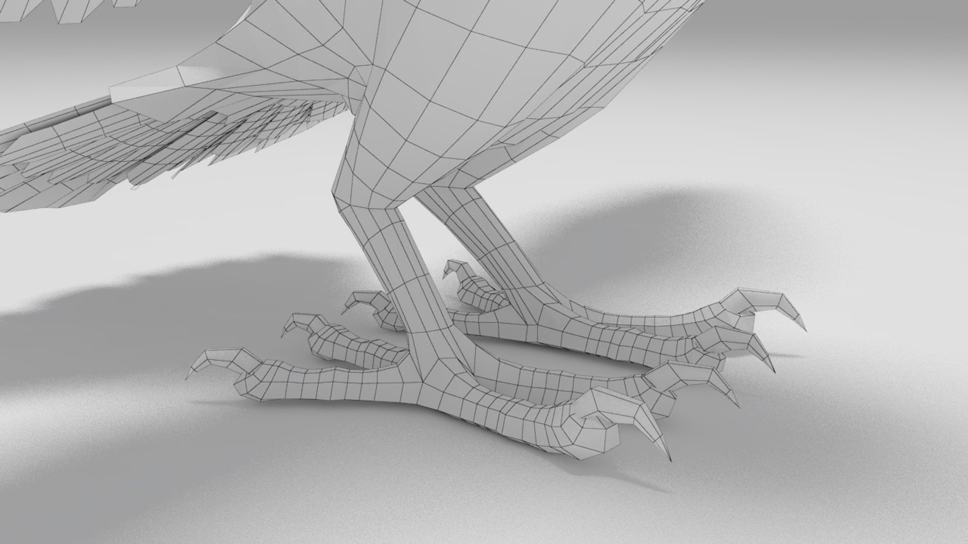 3d Model Of Owl Beak Feather