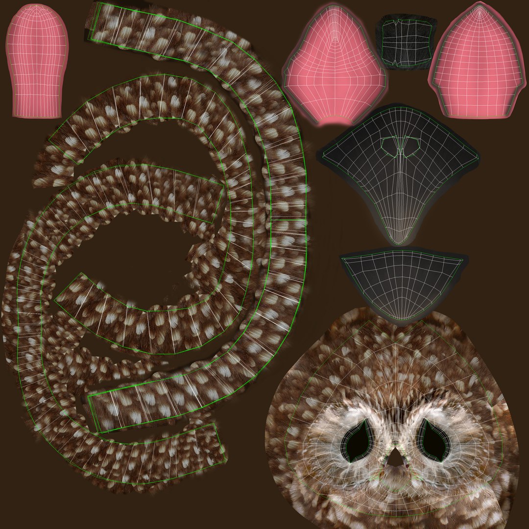 3d Model Of Owl Beak Feather
