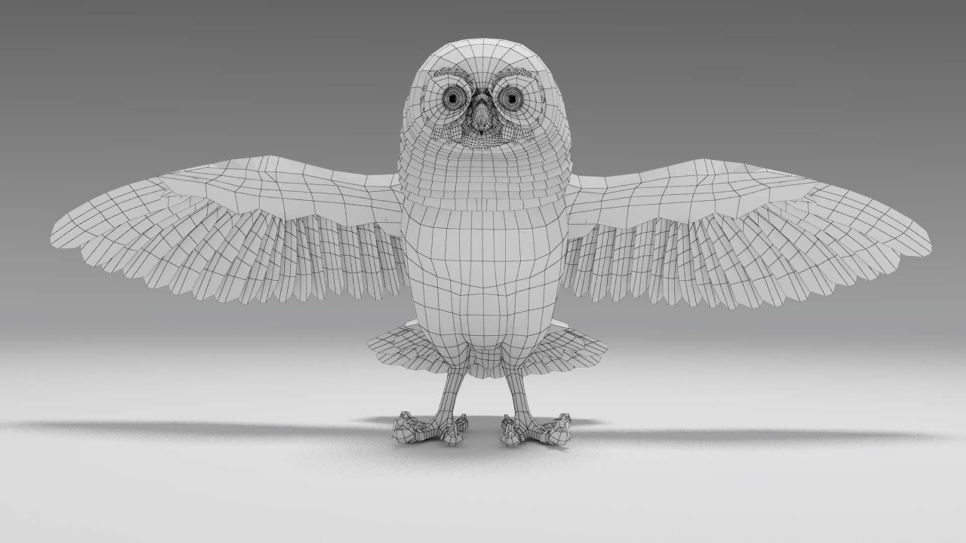 3d Model Of Owl Beak Feather
