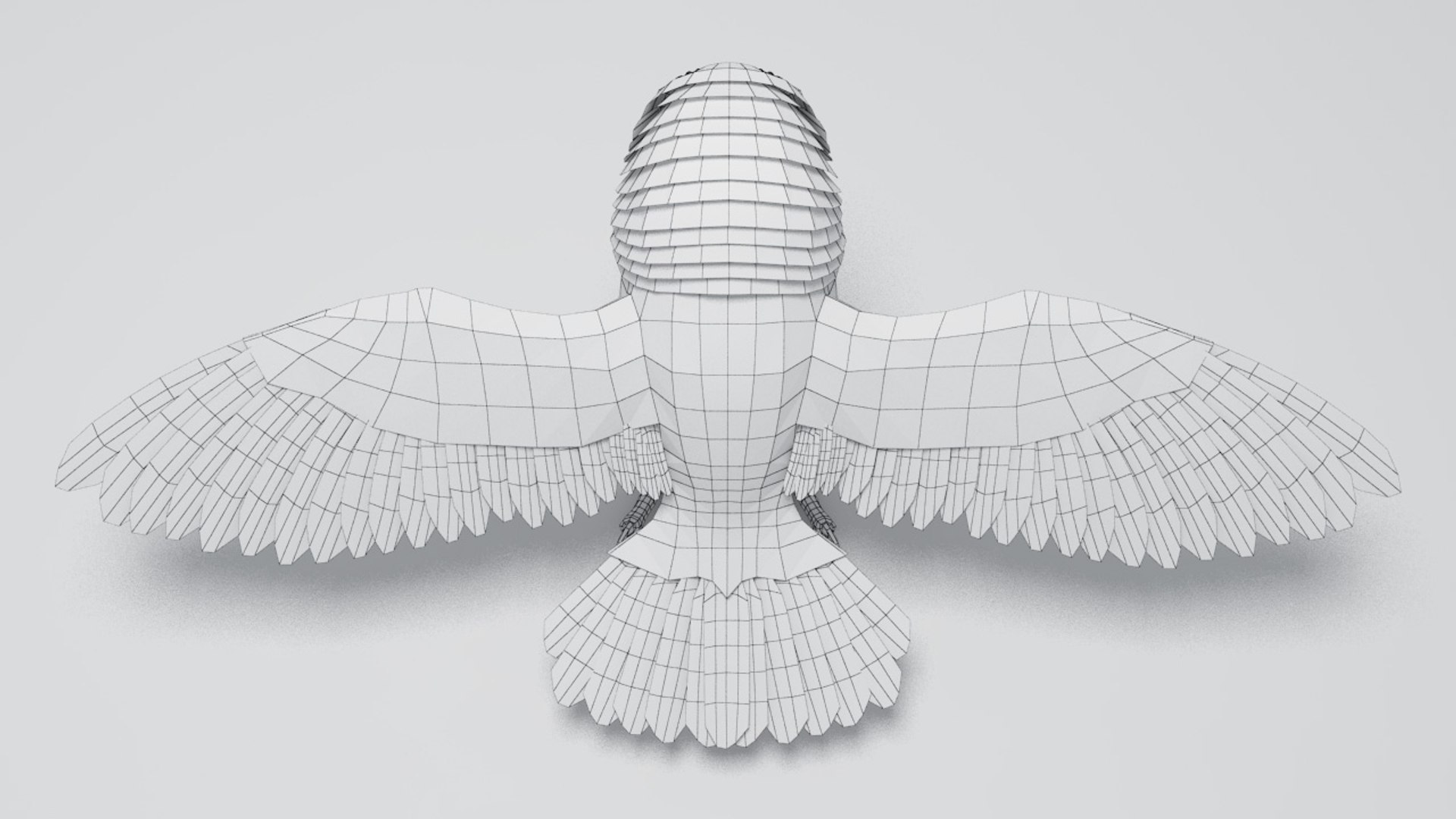 3d Model Of Owl Beak Feather