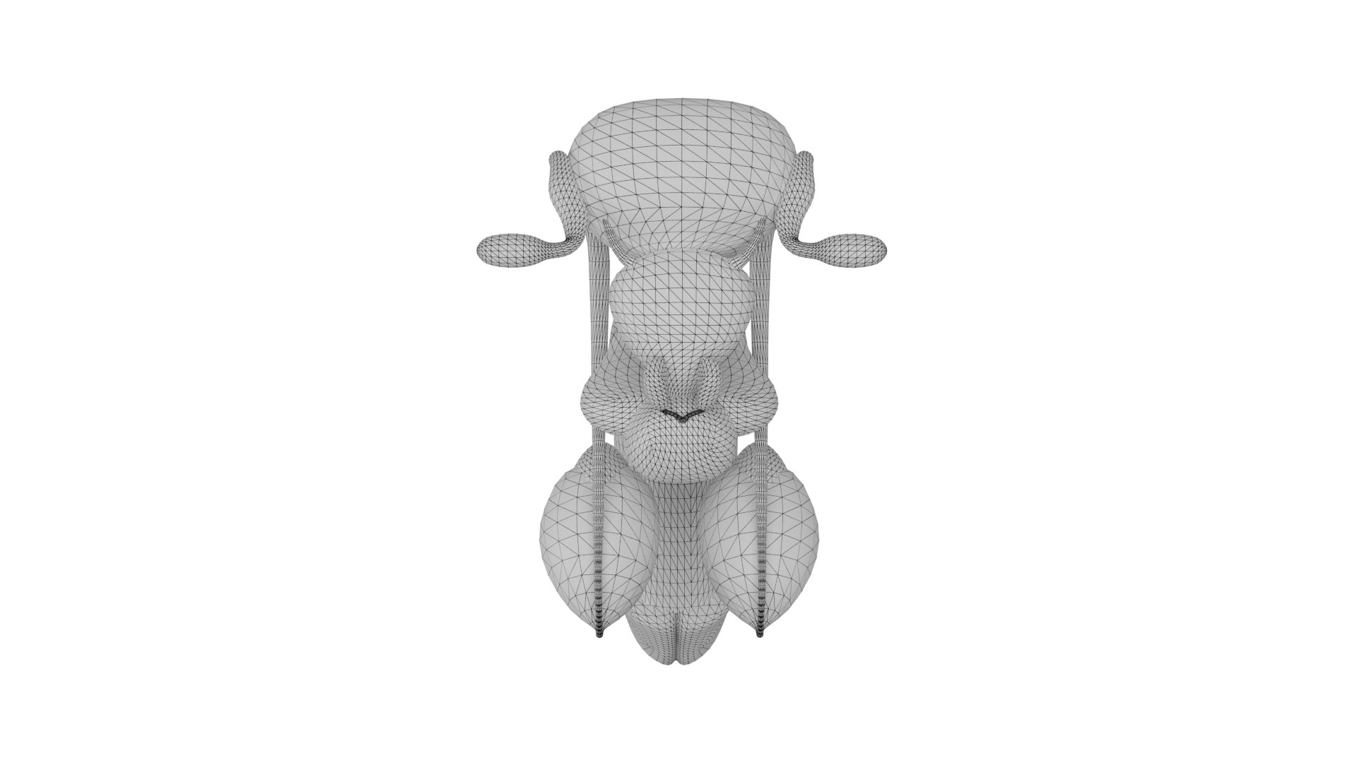 Male Reproductive System 3D Model 3D Model - TurboSquid 2208911