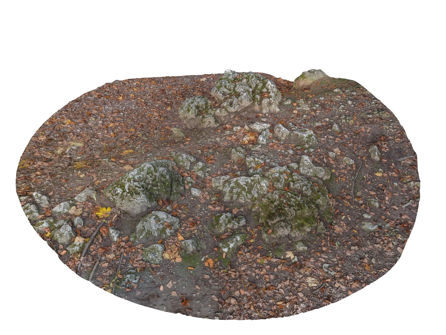 3d Rock Ground Forest Autumn Model