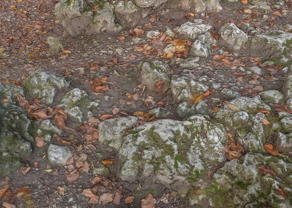 3d rock ground forest autumn model