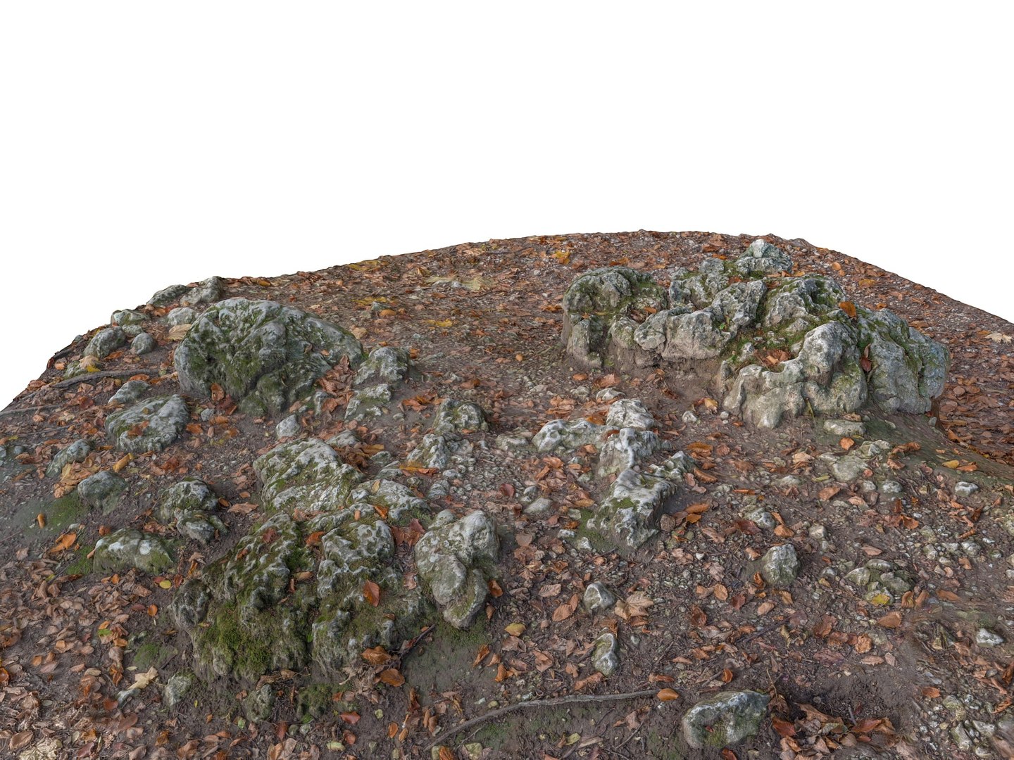 3d Rock Ground Forest Autumn Model