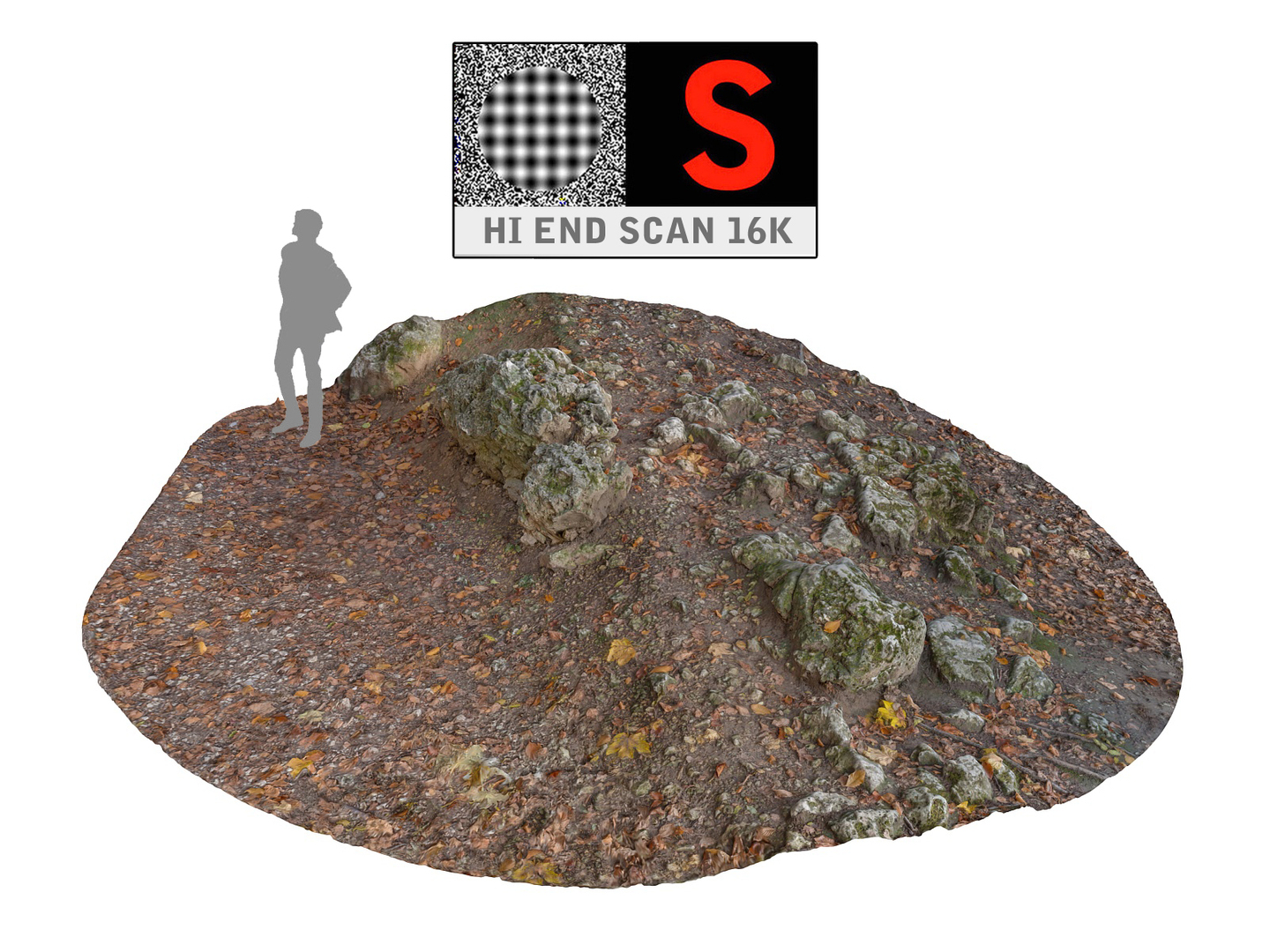 3d rock ground forest autumn model