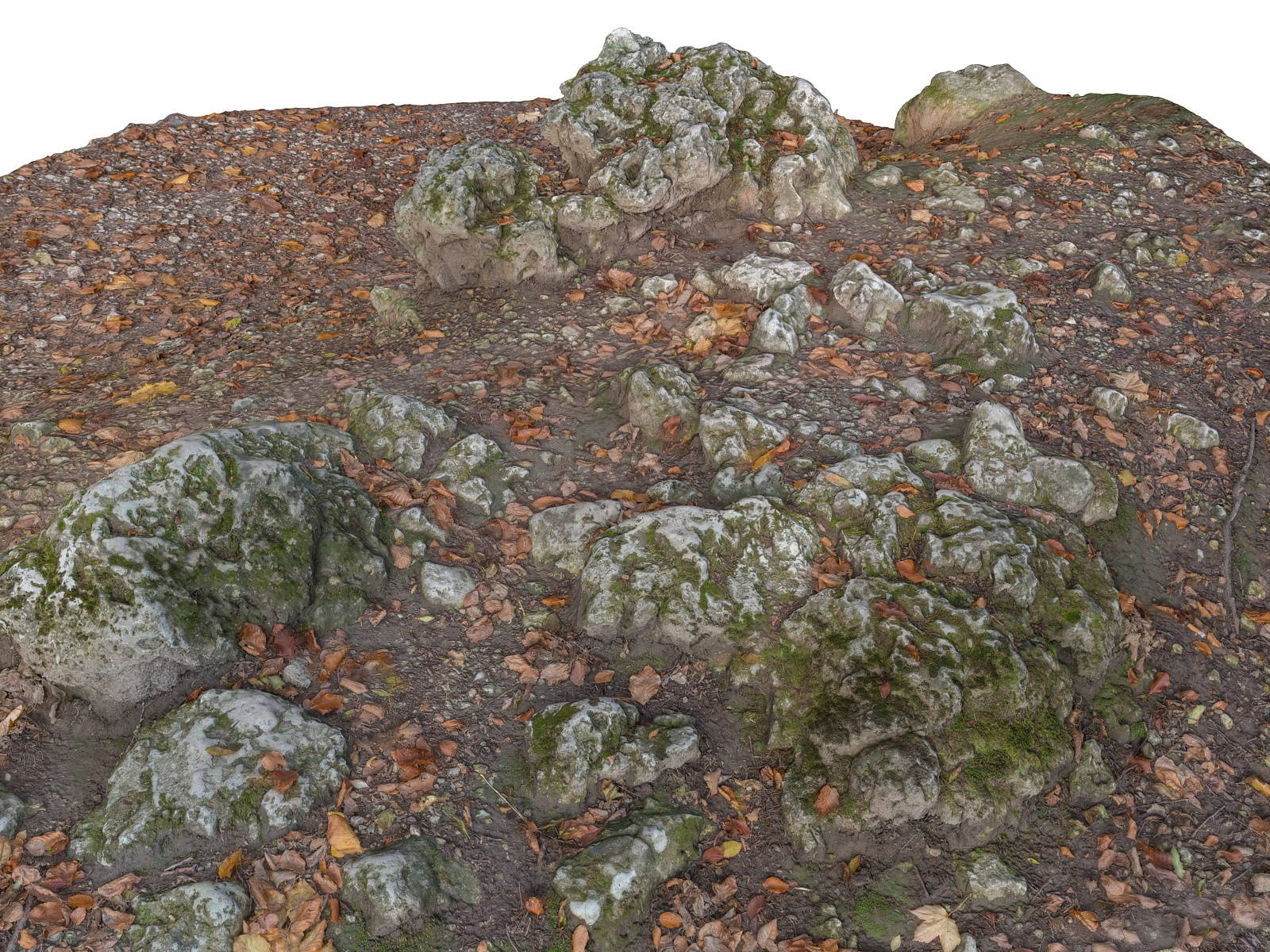 3d rock ground forest autumn model