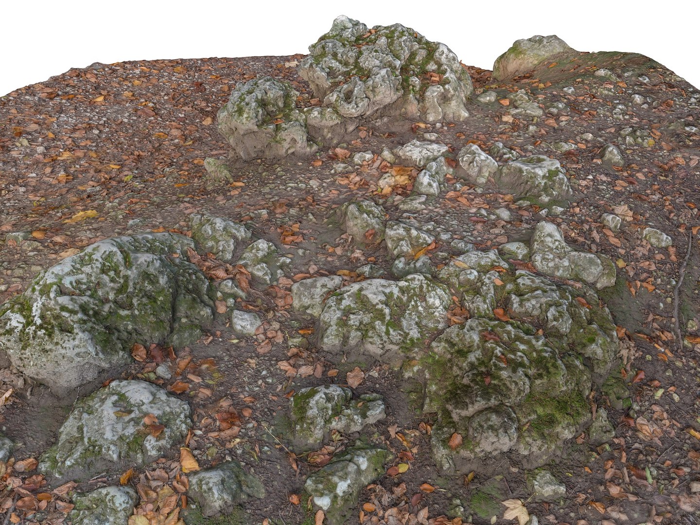 3d Rock Ground Forest Autumn Model
