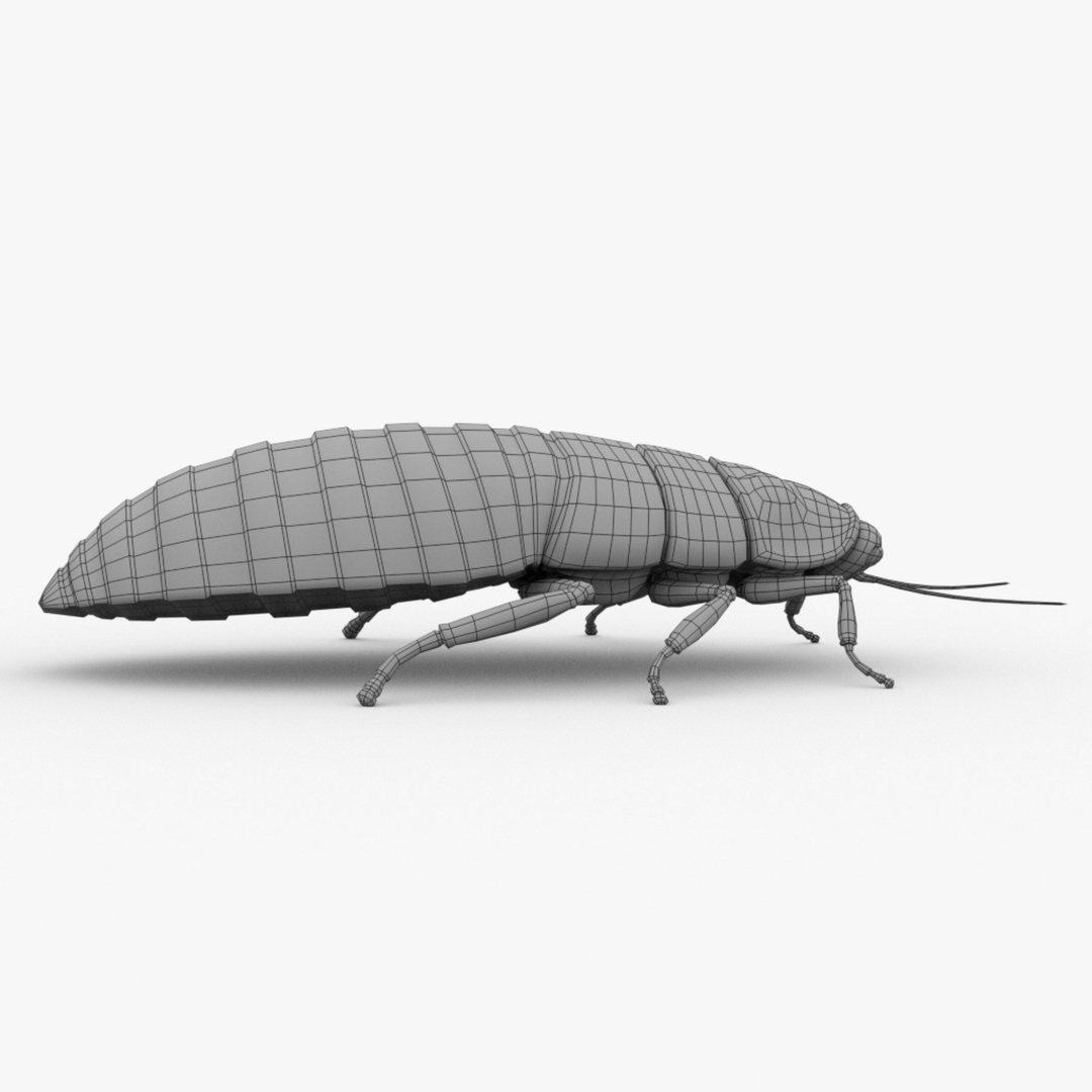 modelo 3d cockroach basemesh - TurboSquid 2006896