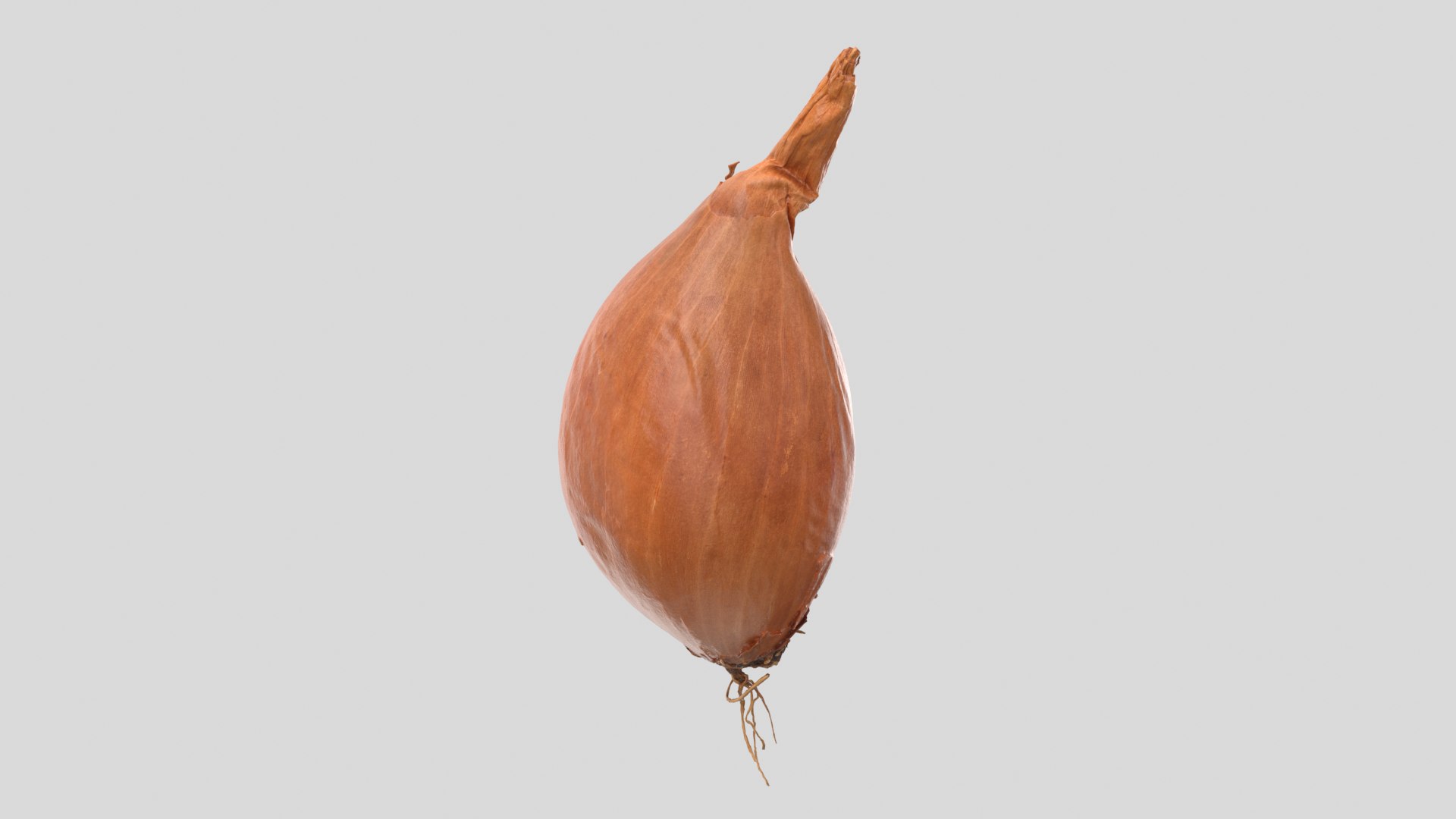 Onion Vegetable 3D Model - TurboSquid 1637214