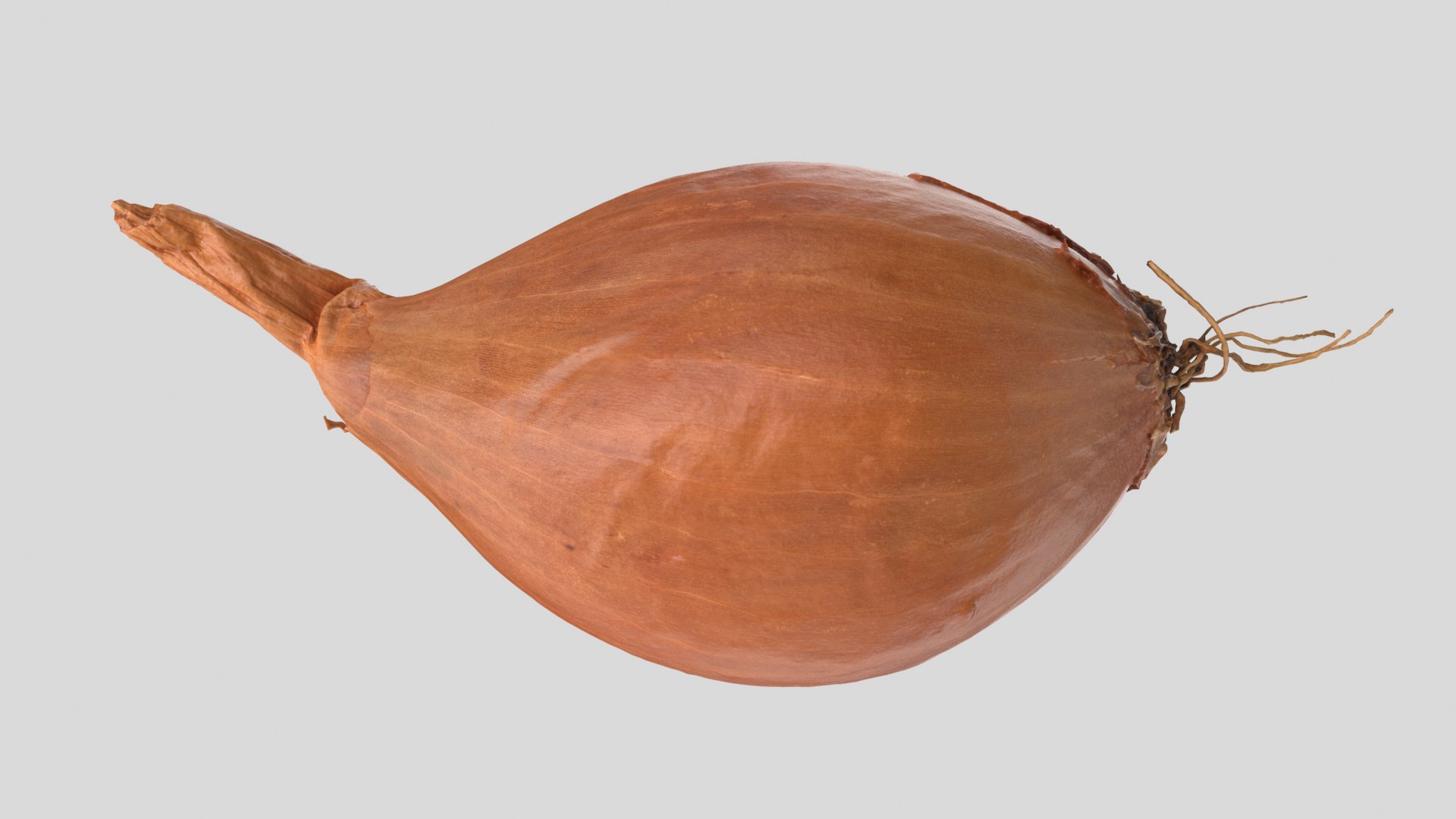 Onion Vegetable 3D Model - TurboSquid 1637214