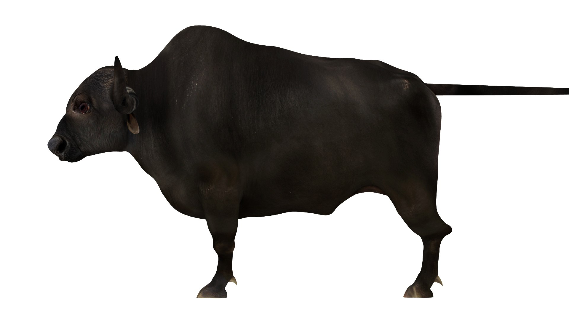 3D Model Yak 2 - TurboSquid 1749101