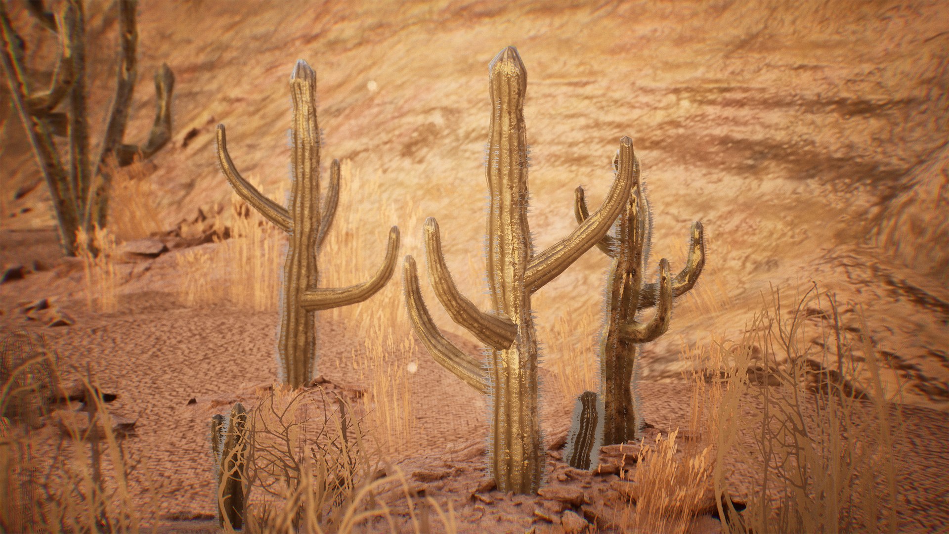 3D Model Cactus Package 16 Assets - TurboSquid 2111594