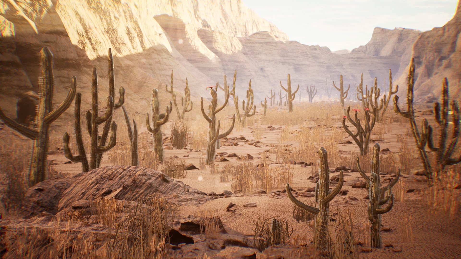 3D Model Cactus Package 16 Assets - TurboSquid 2111594