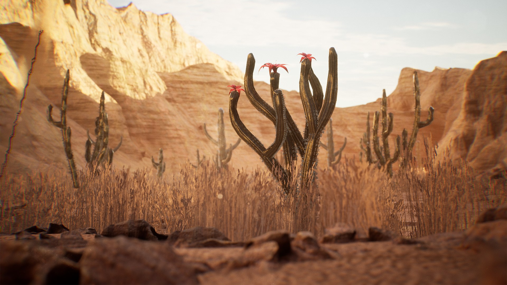 3D Model Cactus Package 16 Assets - TurboSquid 2111594