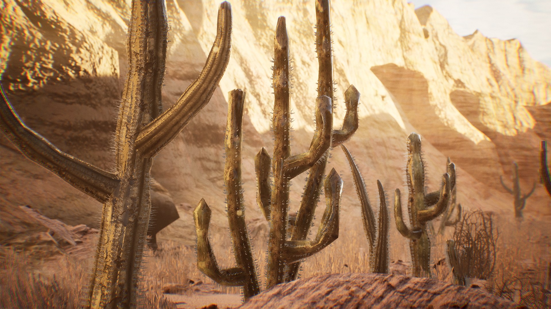 3D Model Cactus Package 16 Assets - TurboSquid 2111594