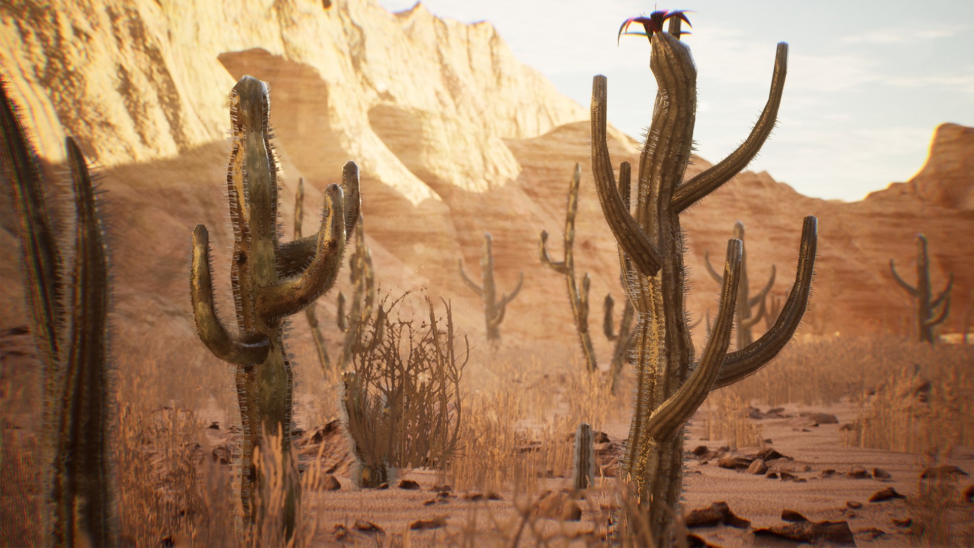 3D Model Cactus Package 16 Assets - TurboSquid 2111594