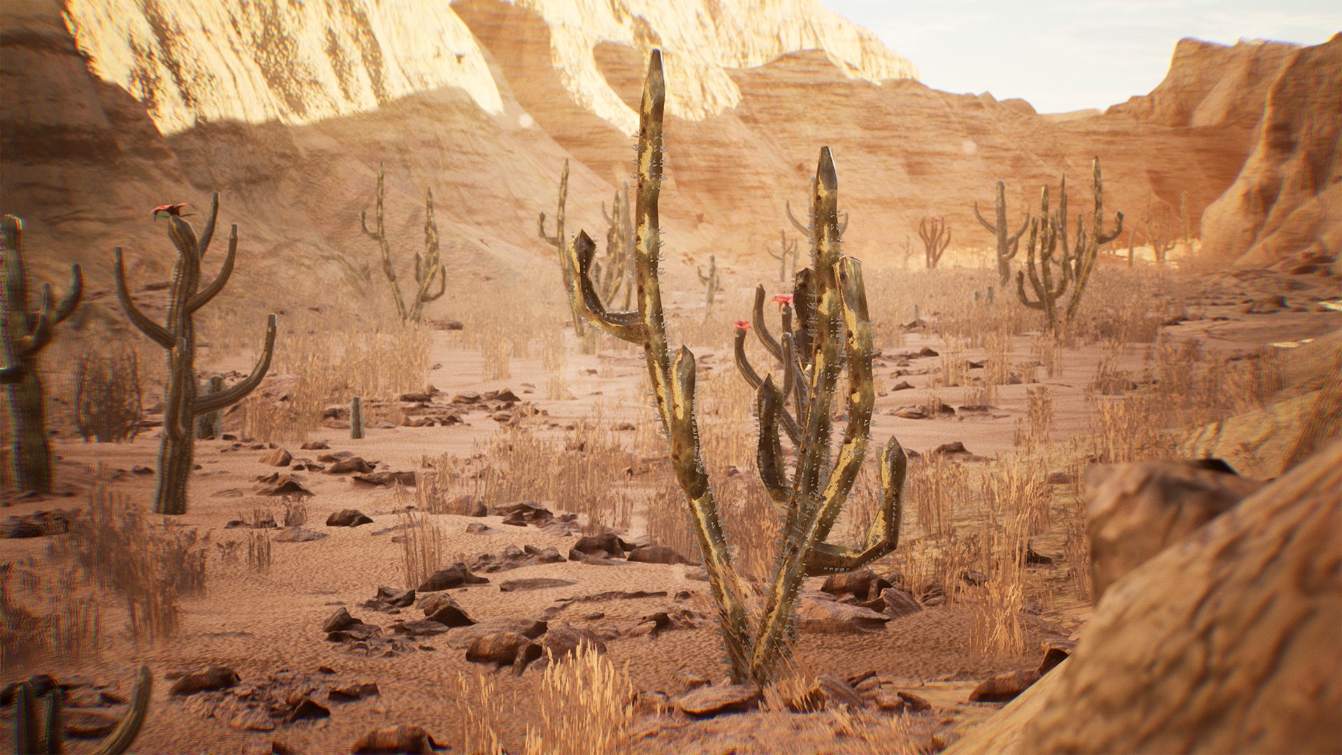 3D Model Cactus Package 16 Assets - TurboSquid 2111594