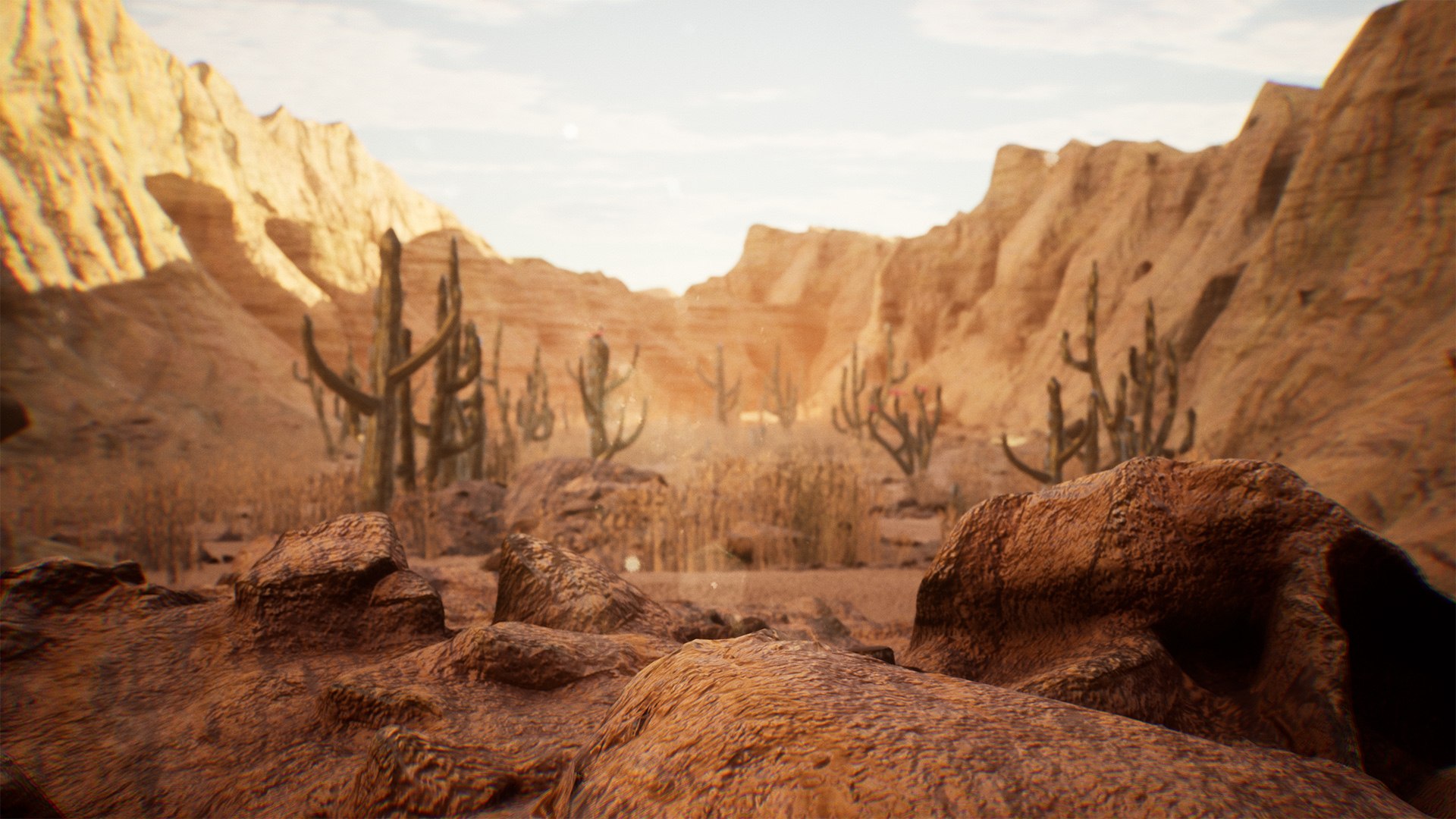 3D Model Cactus Package 16 Assets - TurboSquid 2111594