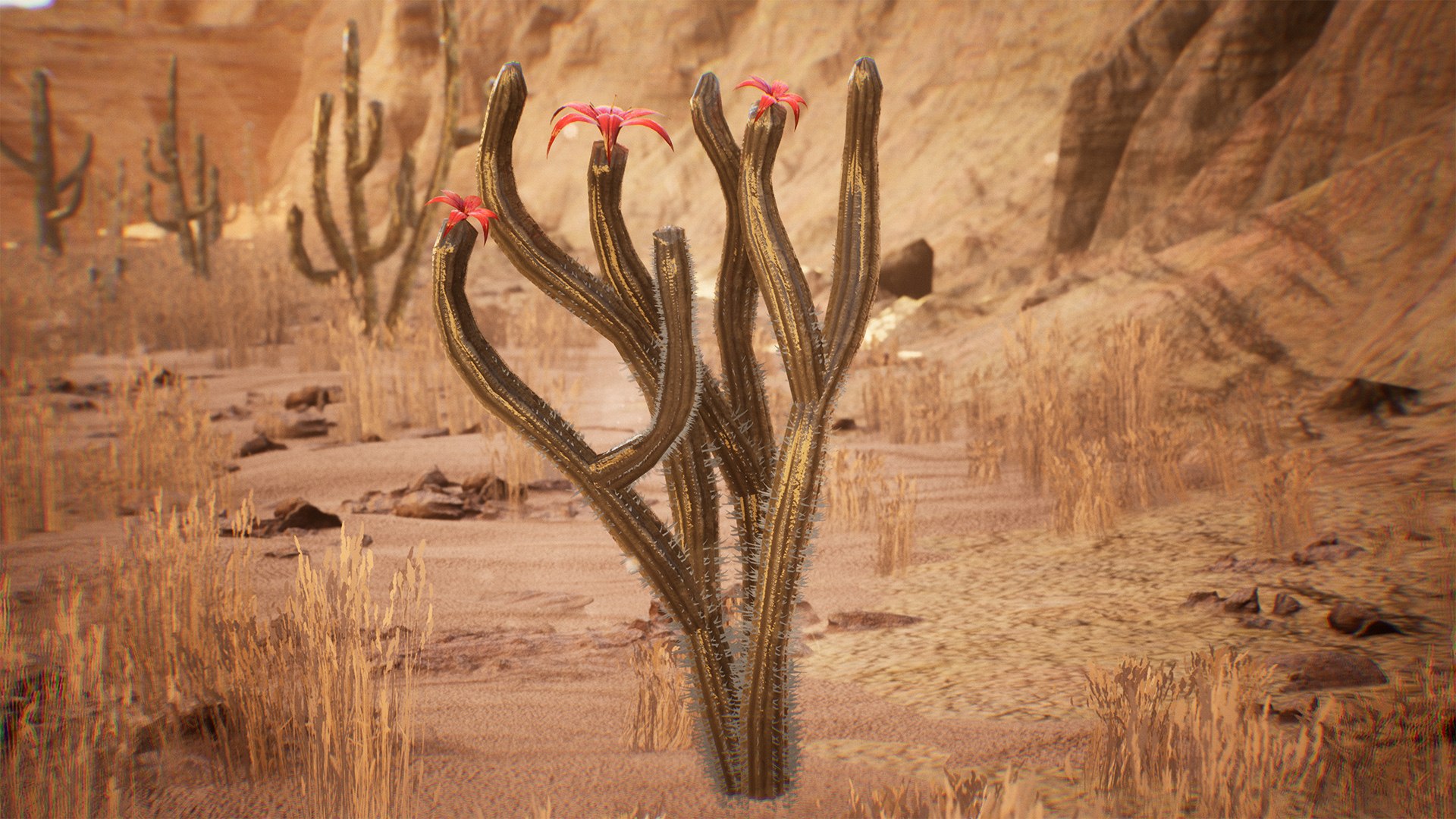 3D Model Cactus Package 16 Assets - TurboSquid 2111594