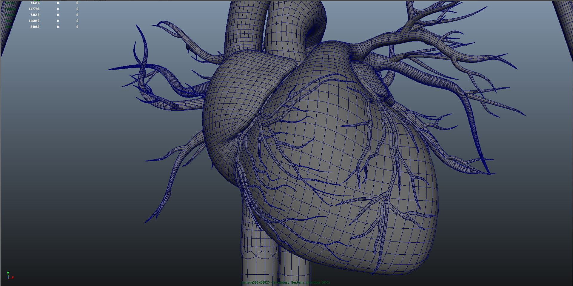 3d model of infected circulatory