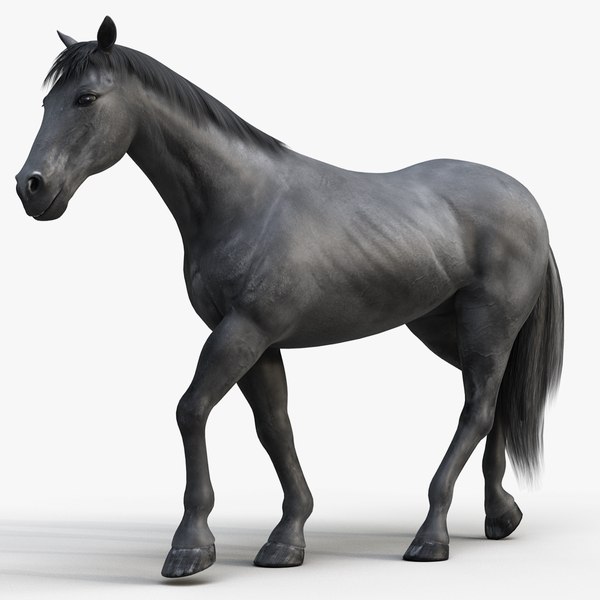 Free Horse 3D Models for Download | TurboSquid