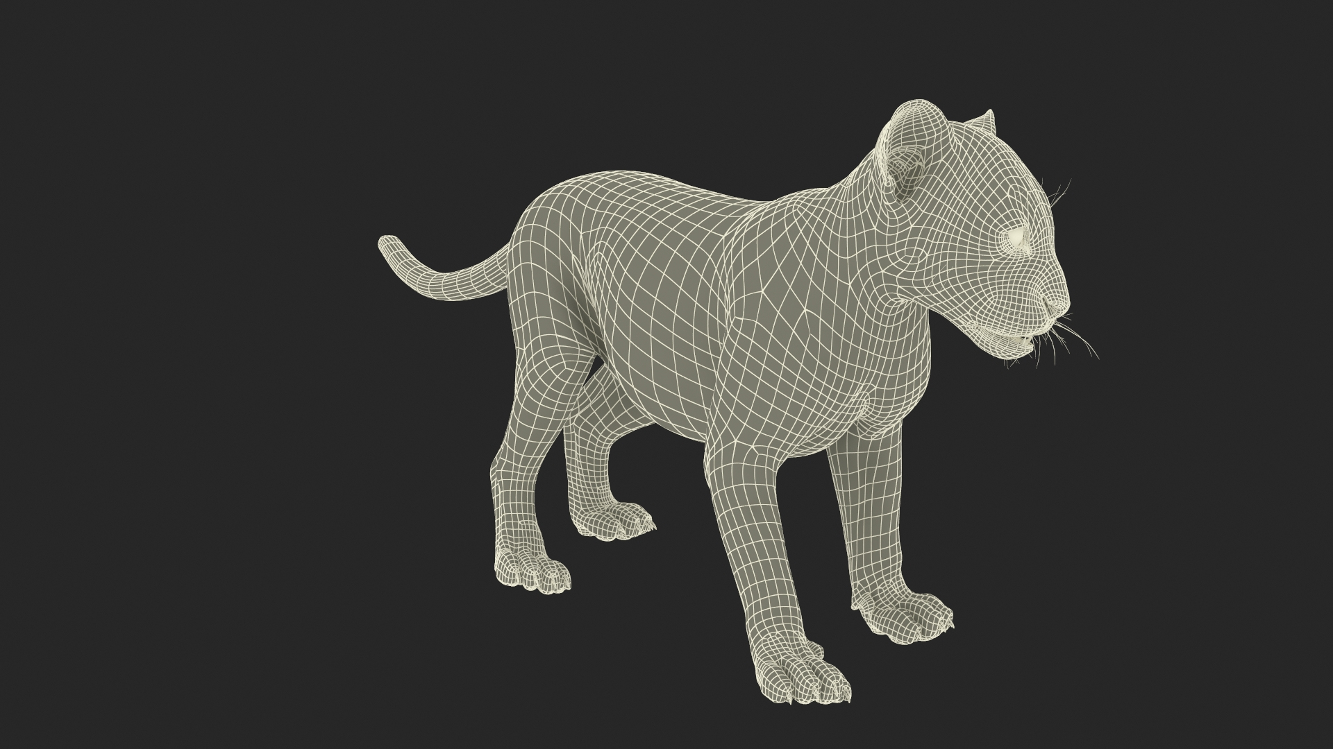 Baby Leopard Cub 3D - TurboSquid 2340145