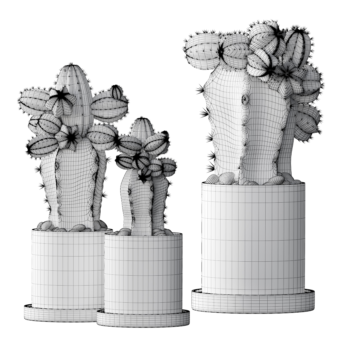 3D flowers cactus - TurboSquid 1572573