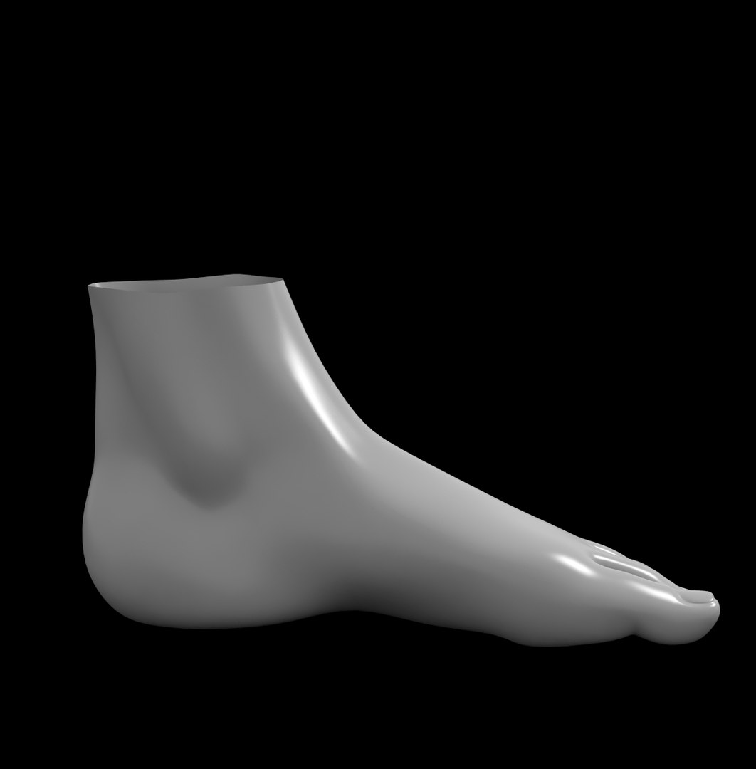 3d Female Foot Basemesh Model
