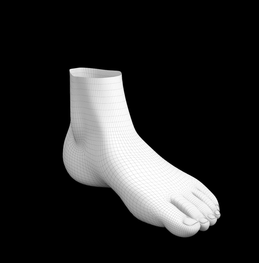 3d Female Foot Basemesh Model