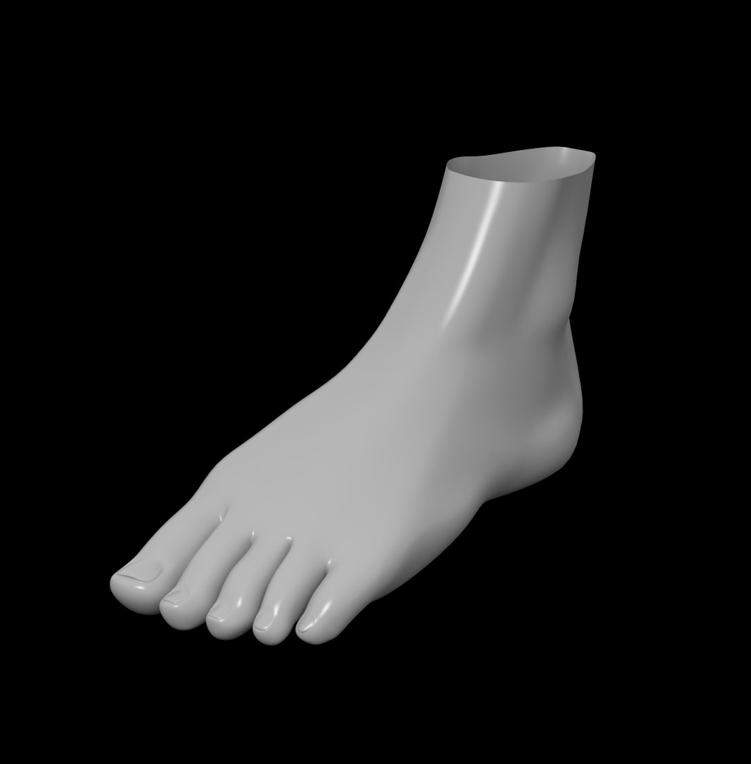 3d Female Foot Basemesh Model