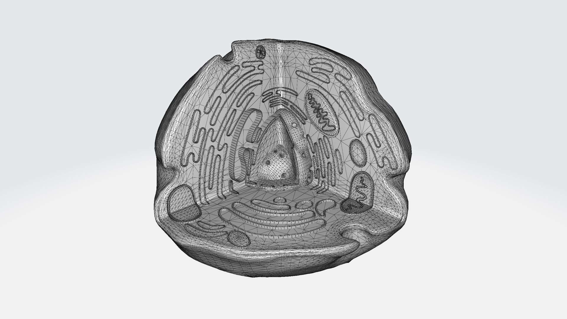 3D Human Cell Model - TurboSquid 2321512