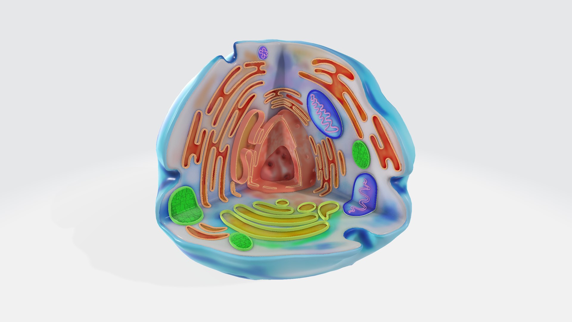 3D Human Cell Model - TurboSquid 2321512