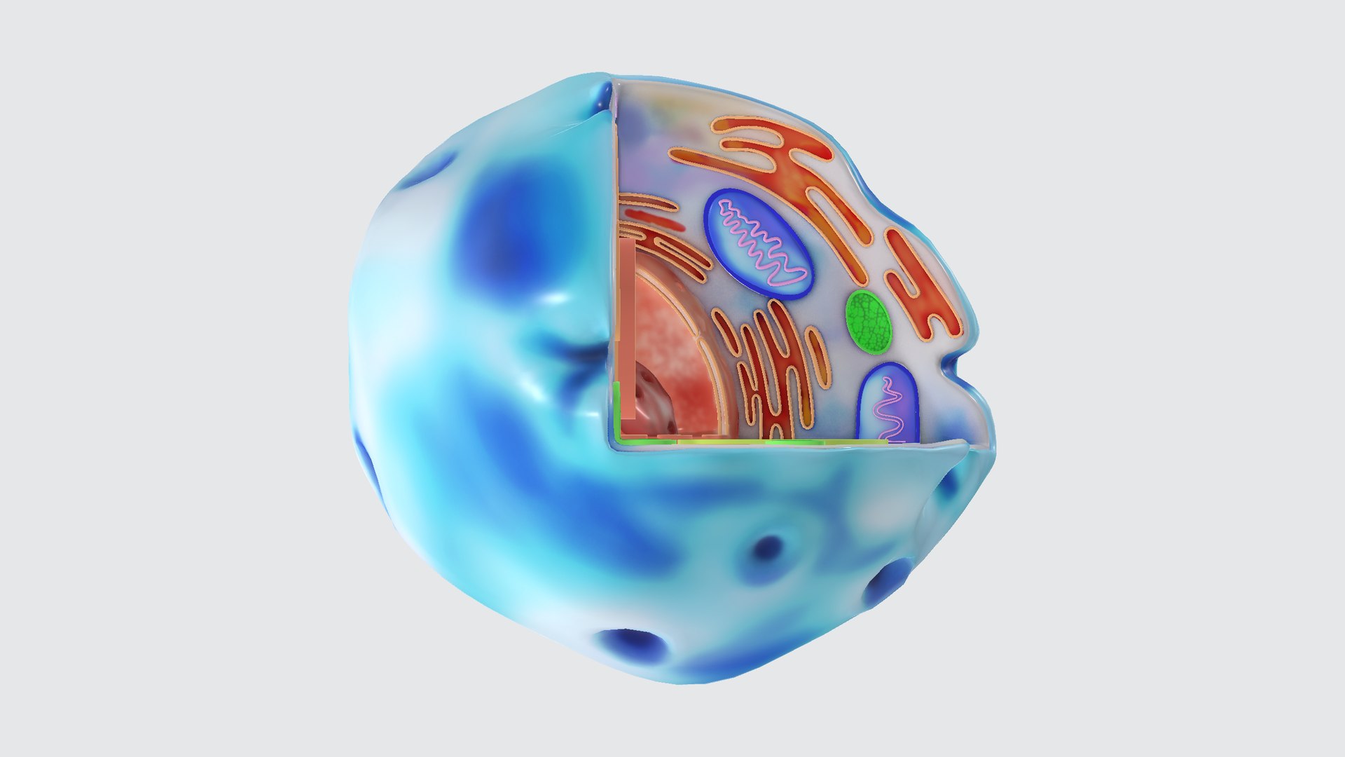 3D Human Cell Model - TurboSquid 2321512