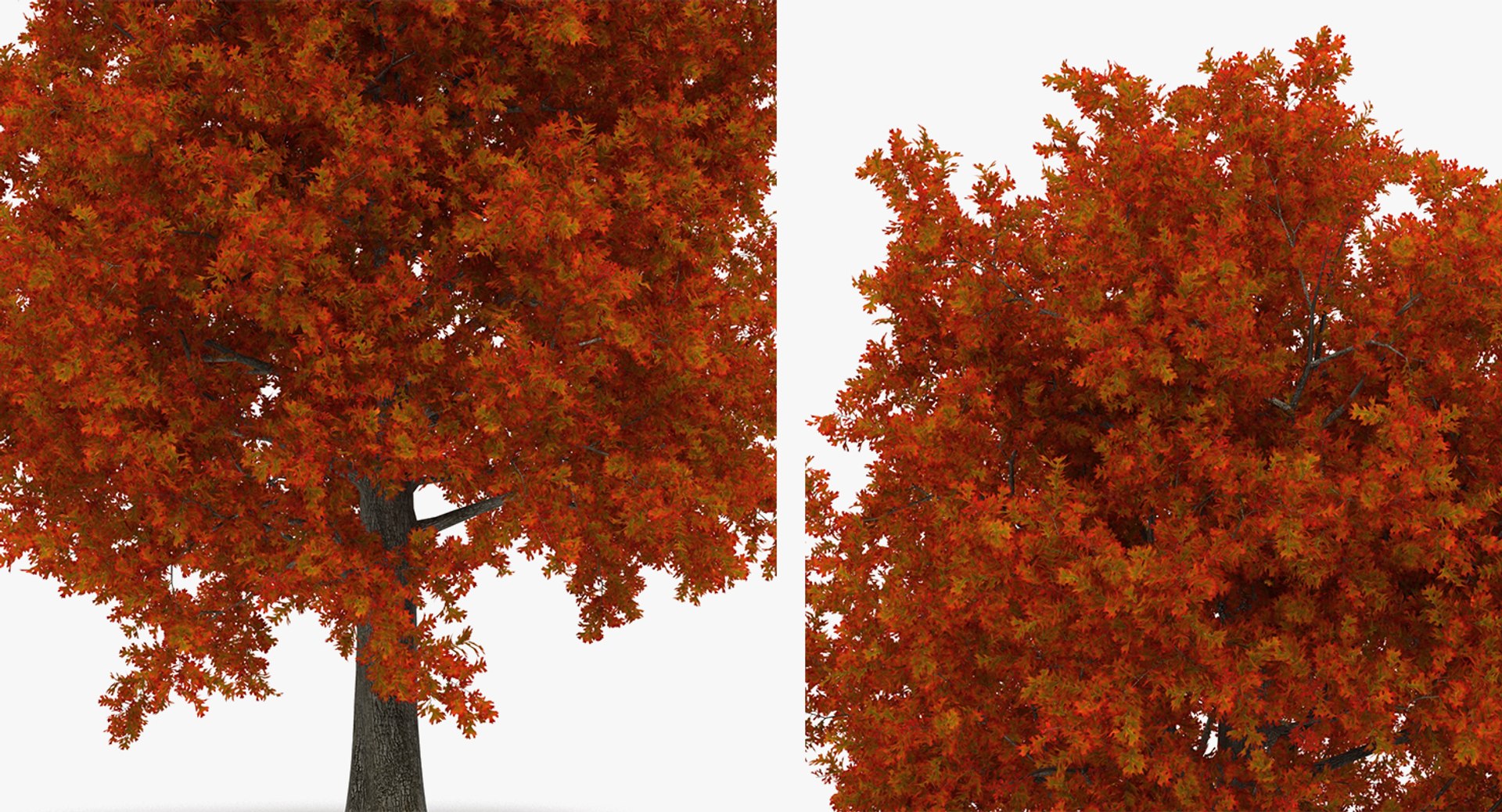 3D autumn trees 2 model - TurboSquid 1331988