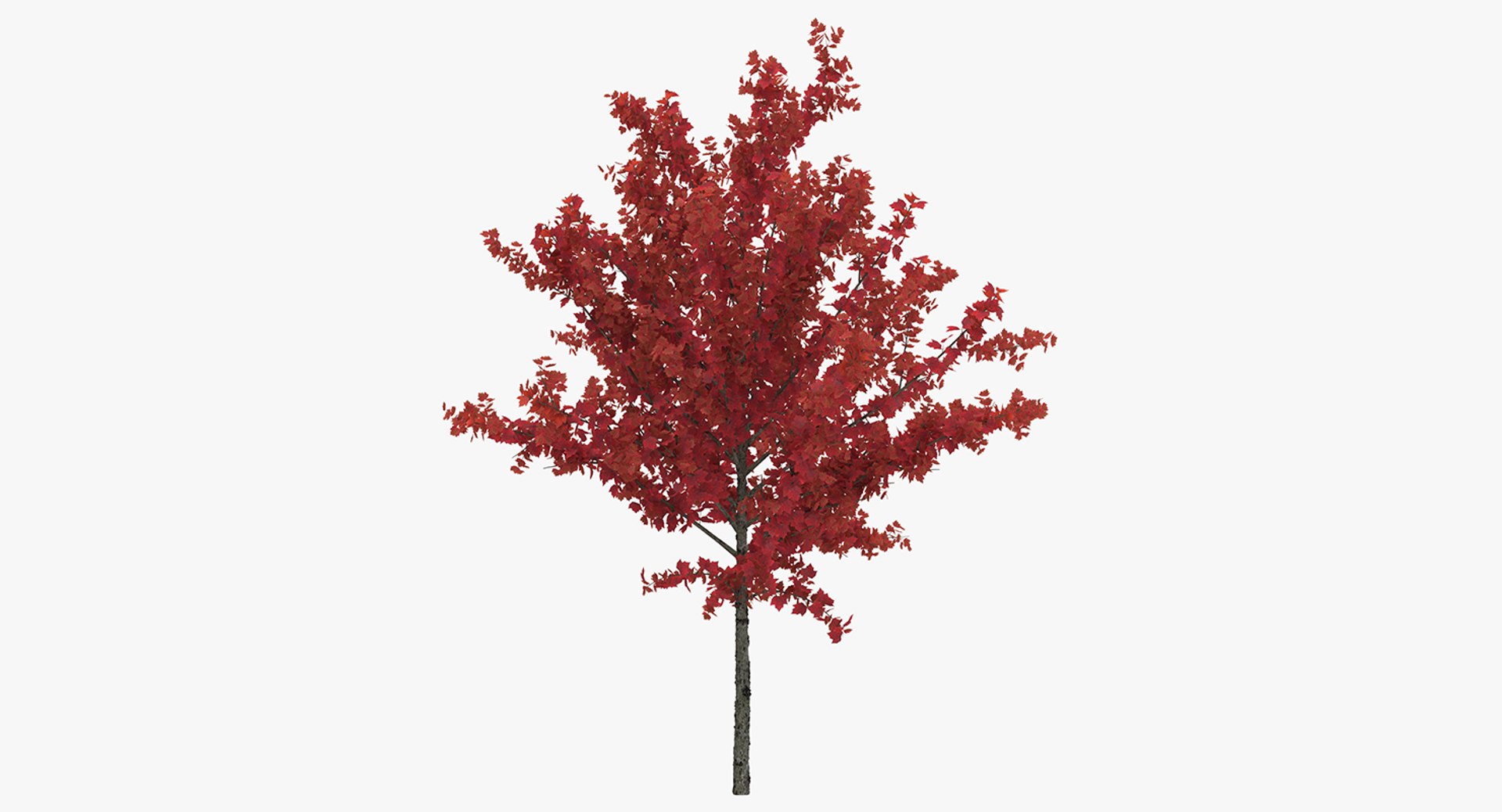3D autumn trees 2 model - TurboSquid 1331988