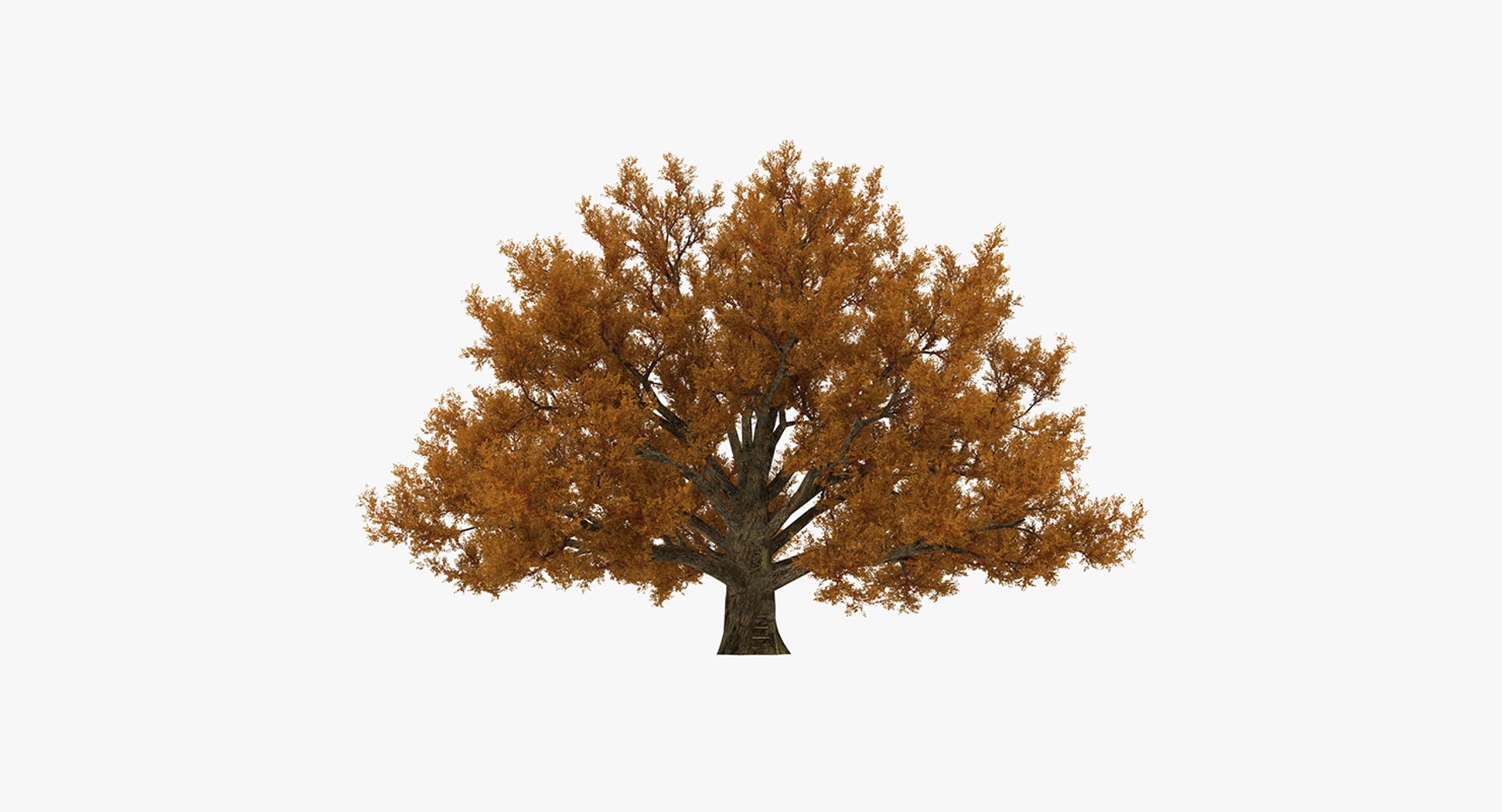 3D autumn trees 2 model - TurboSquid 1331988