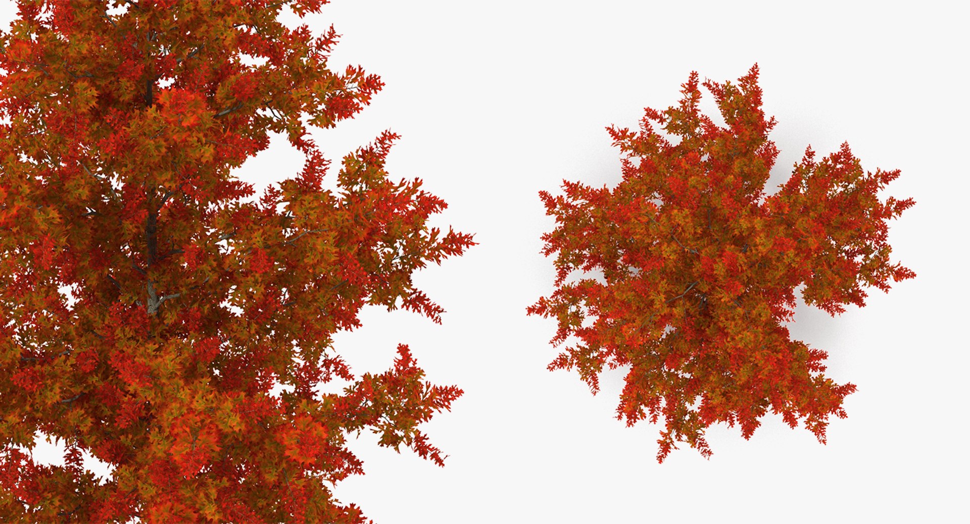 3D autumn trees 2 model - TurboSquid 1331988