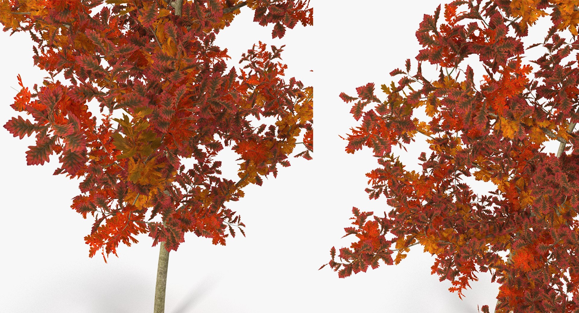 3D autumn trees 2 model - TurboSquid 1331988
