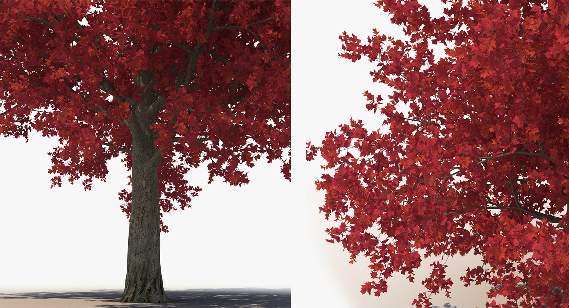 3D autumn trees 2 model - TurboSquid 1331988
