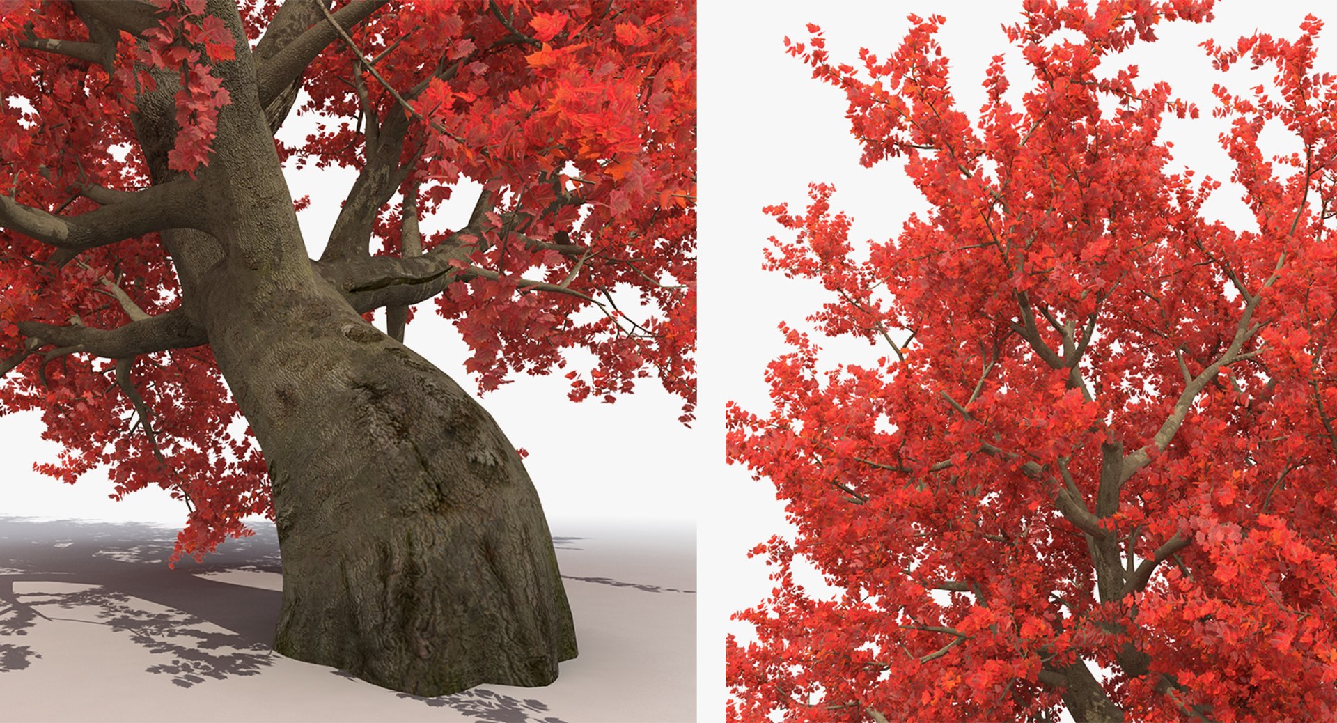 3D autumn trees 2 model - TurboSquid 1331988