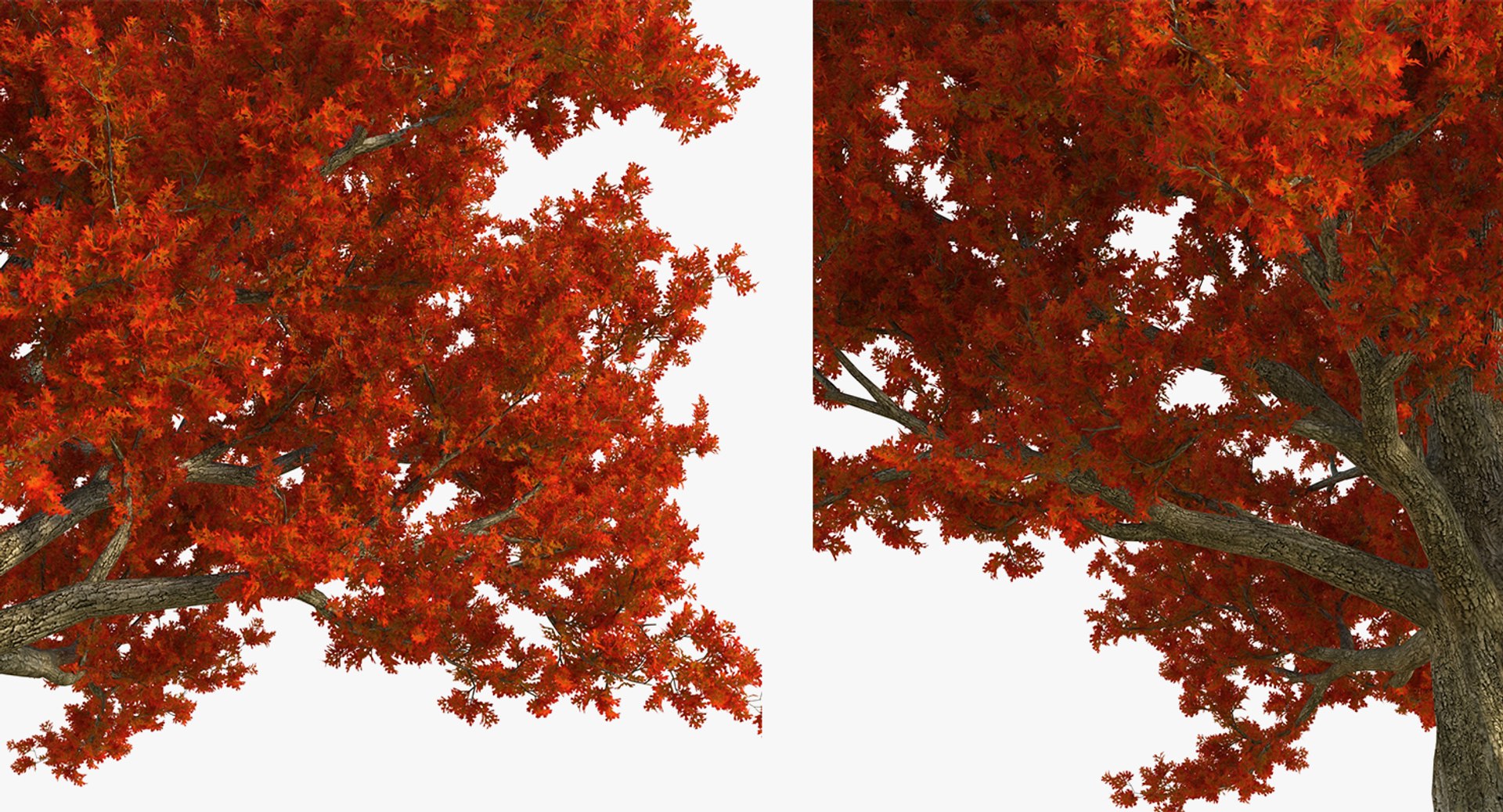 3D autumn trees 2 model - TurboSquid 1331988