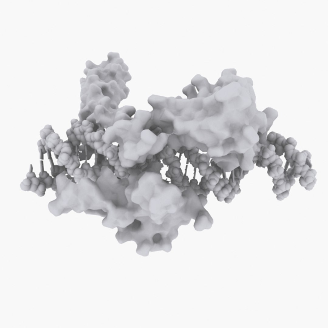 Enhanceosome Protein Organic Max